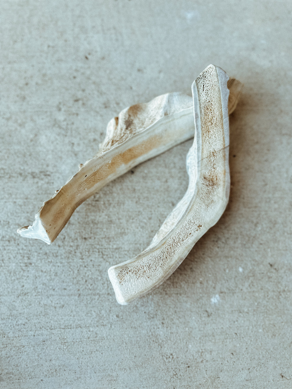 Large Split Antler – Havenwood Dogs